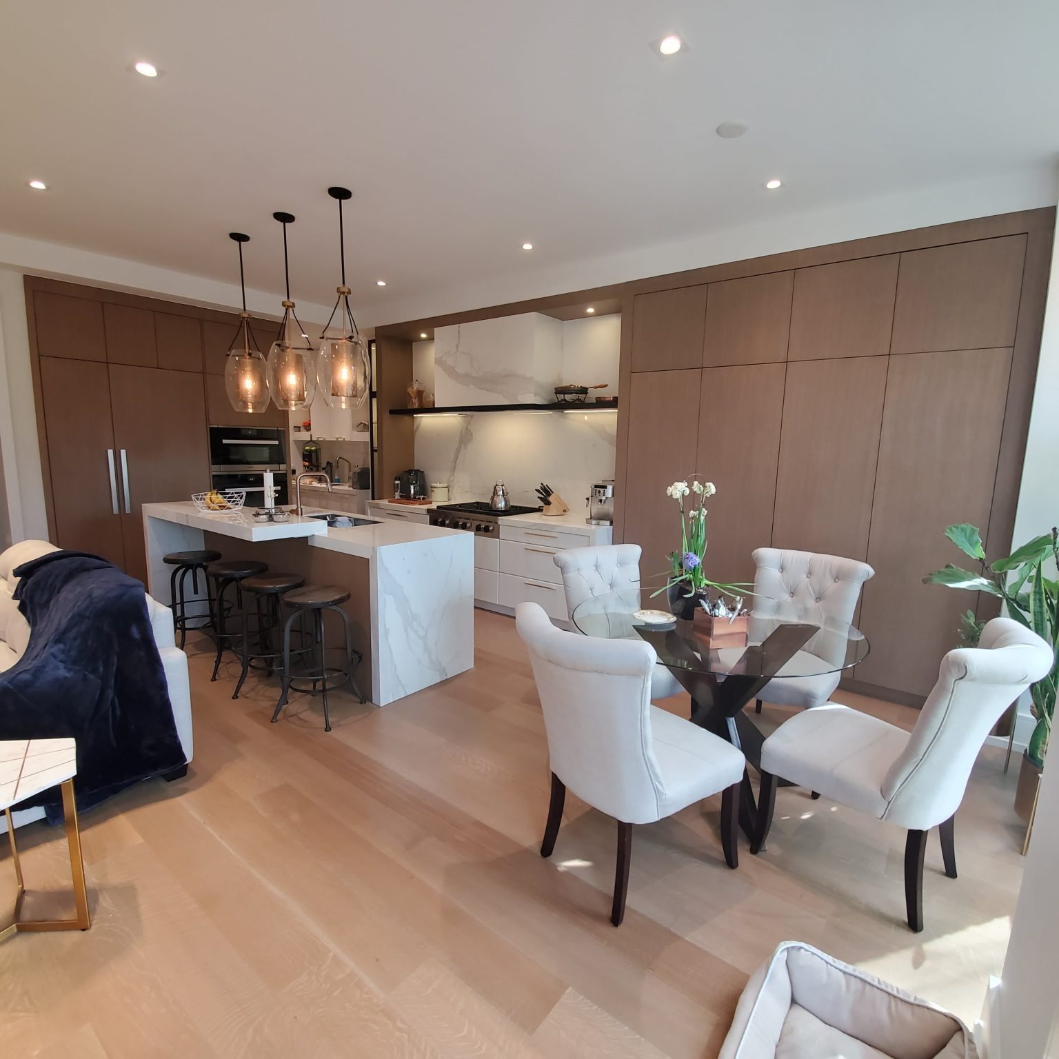 Cameron Project – Skylight Construction LTD.